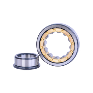Cylindrical Roller Bearing NACHI NSK Nj1021 Nj1024 Nj1030 Nj1052 Nj1060 N Nj NF Nu Nup for ...